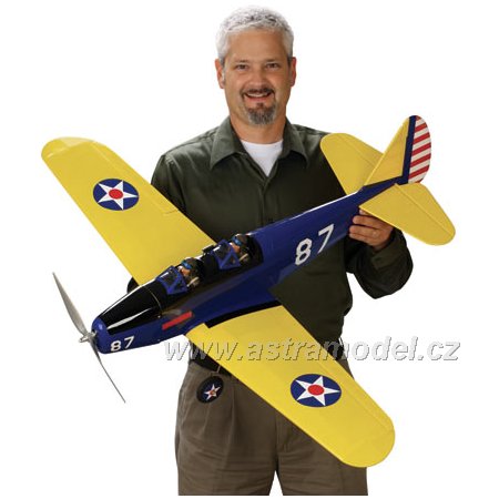 E-flite PT-19 450 ARF (EFL2675) | Astra
