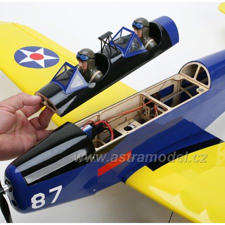 E-flite PT-19 450 ARF (EFL2675) | Astra
